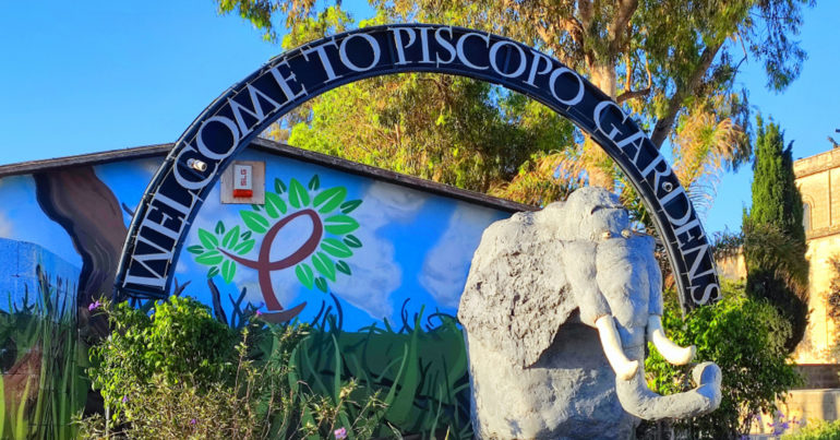 Piscopo Gardens weekend activities during March Vibe FM