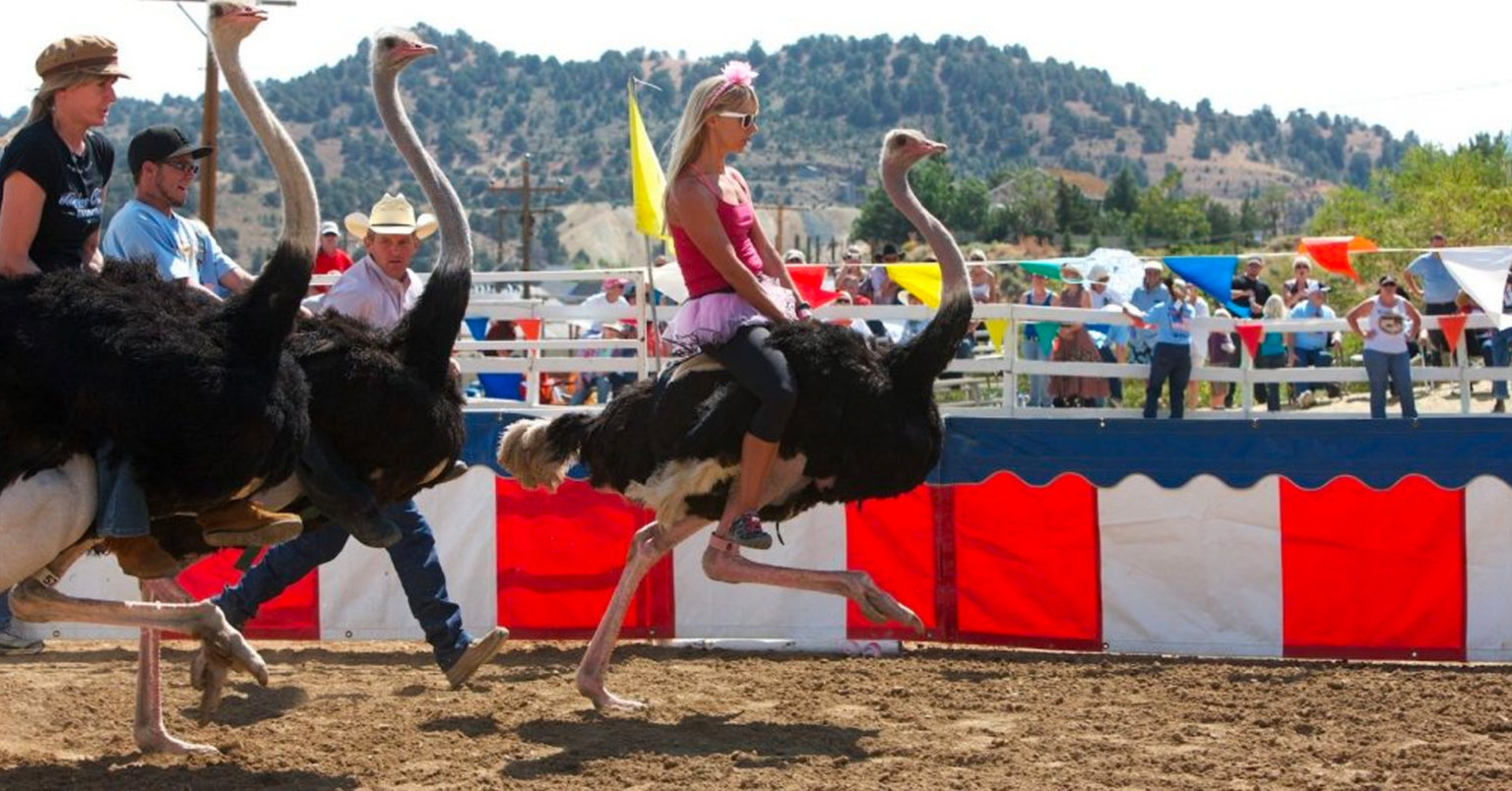 The Weirdest Sports Played Around The World